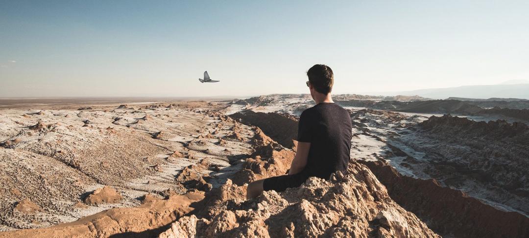 Flying_Bionicbird - BIONIC BIRD US- BIOMIMETIC DRONES