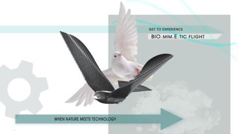 Bionic bird - Biomimetic drones