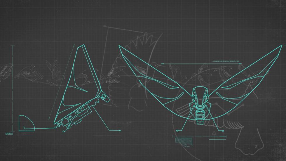 About Us - BIONIC BIRD US- BIOMIMETIC DRONES