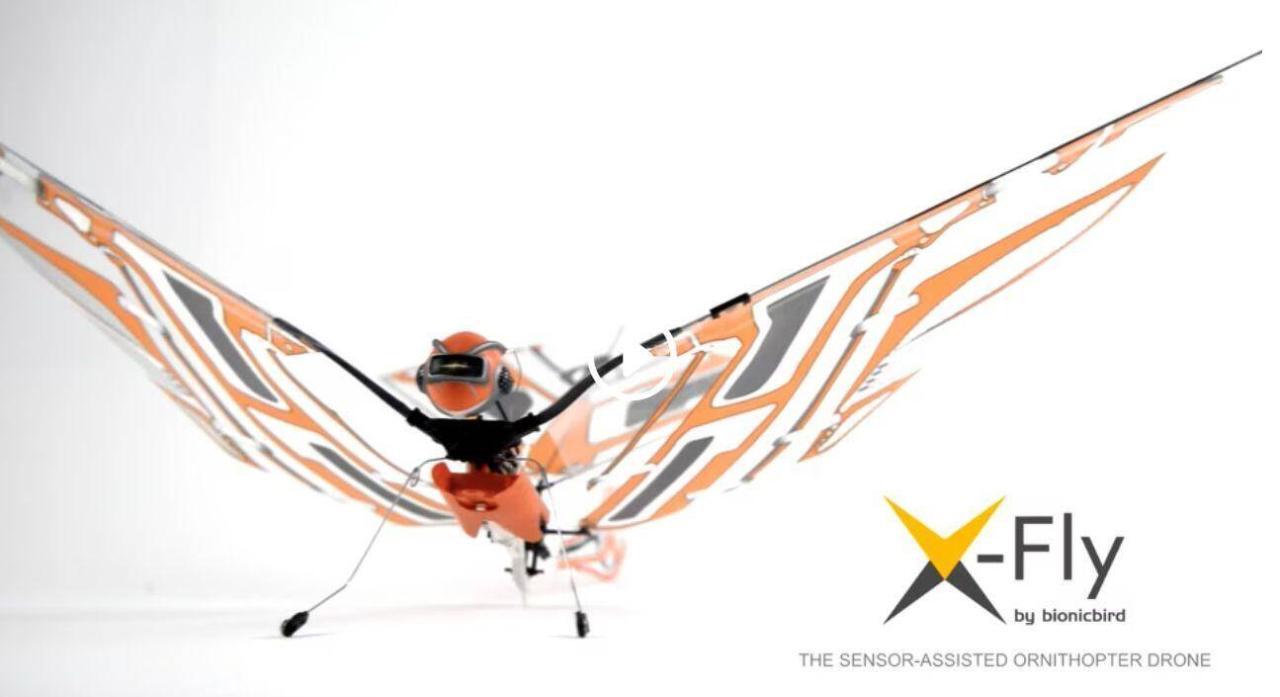 XFly Tutorials - X-Fly by BIONIC BIRD US- BIOMIMETIC DRONES
