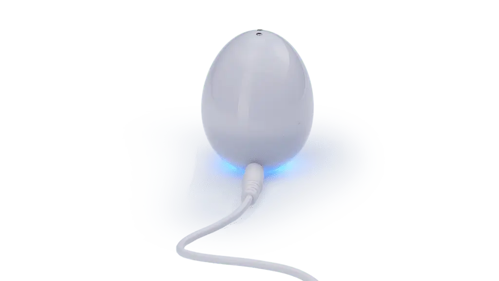 Portative Egg Charger | BIONIC BIRD WD - BIOMIMETIC DRONES