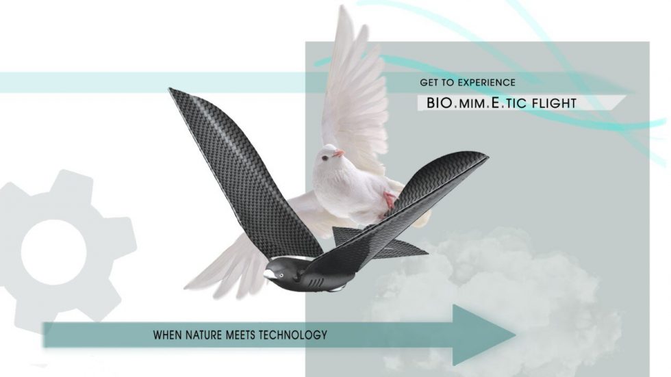 Bionic bird | Biomimetic drones