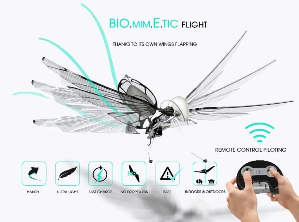 MetaFly by Bionic Bird - The first insect drone able to fly!