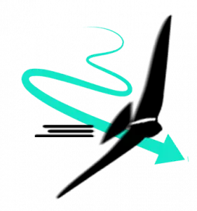 MetaFly by Bionic Bird - The first insect drone able to fly!