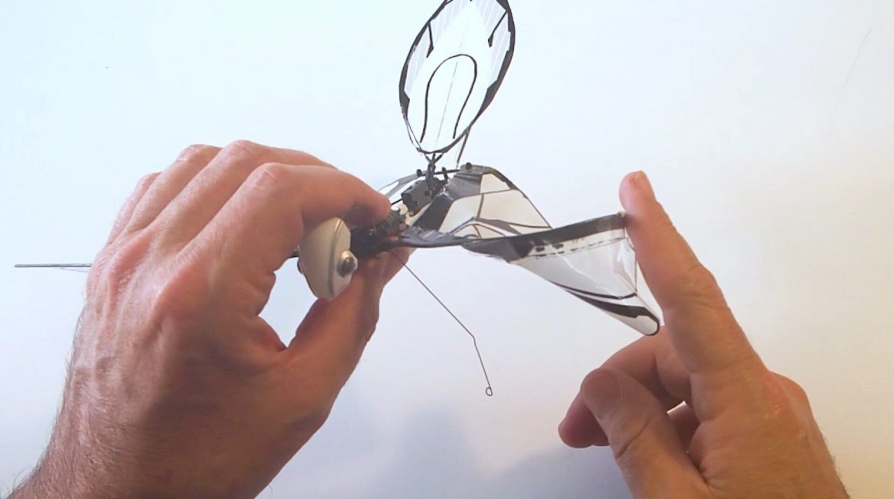 MetaFly by Bionic Bird - The first insect drone able to fly!